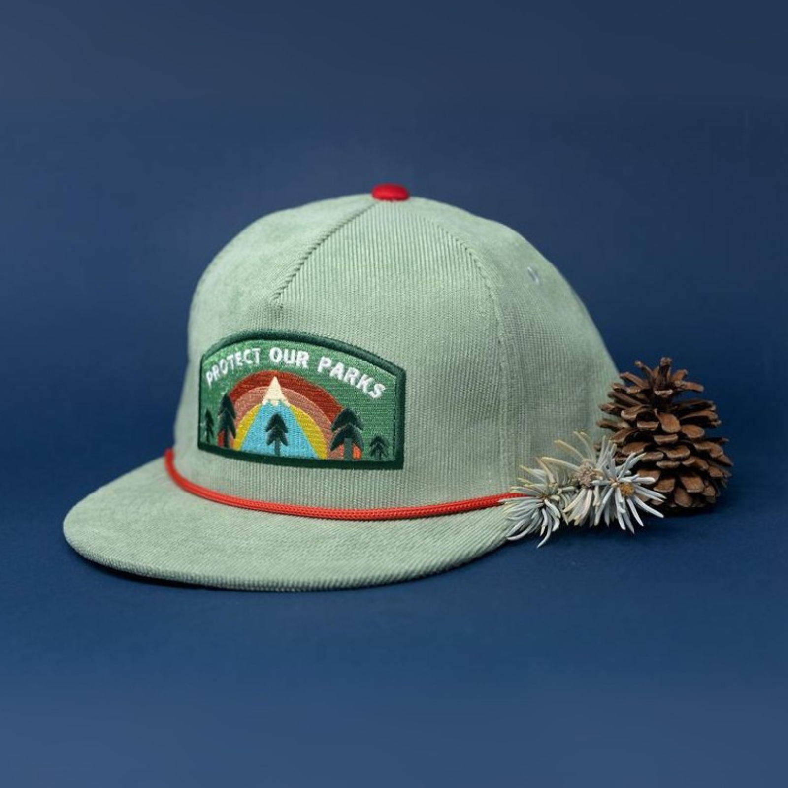 'Protect Our Parks' Patch Corduroy Baseball Cap – Wild Cat Gift and Party