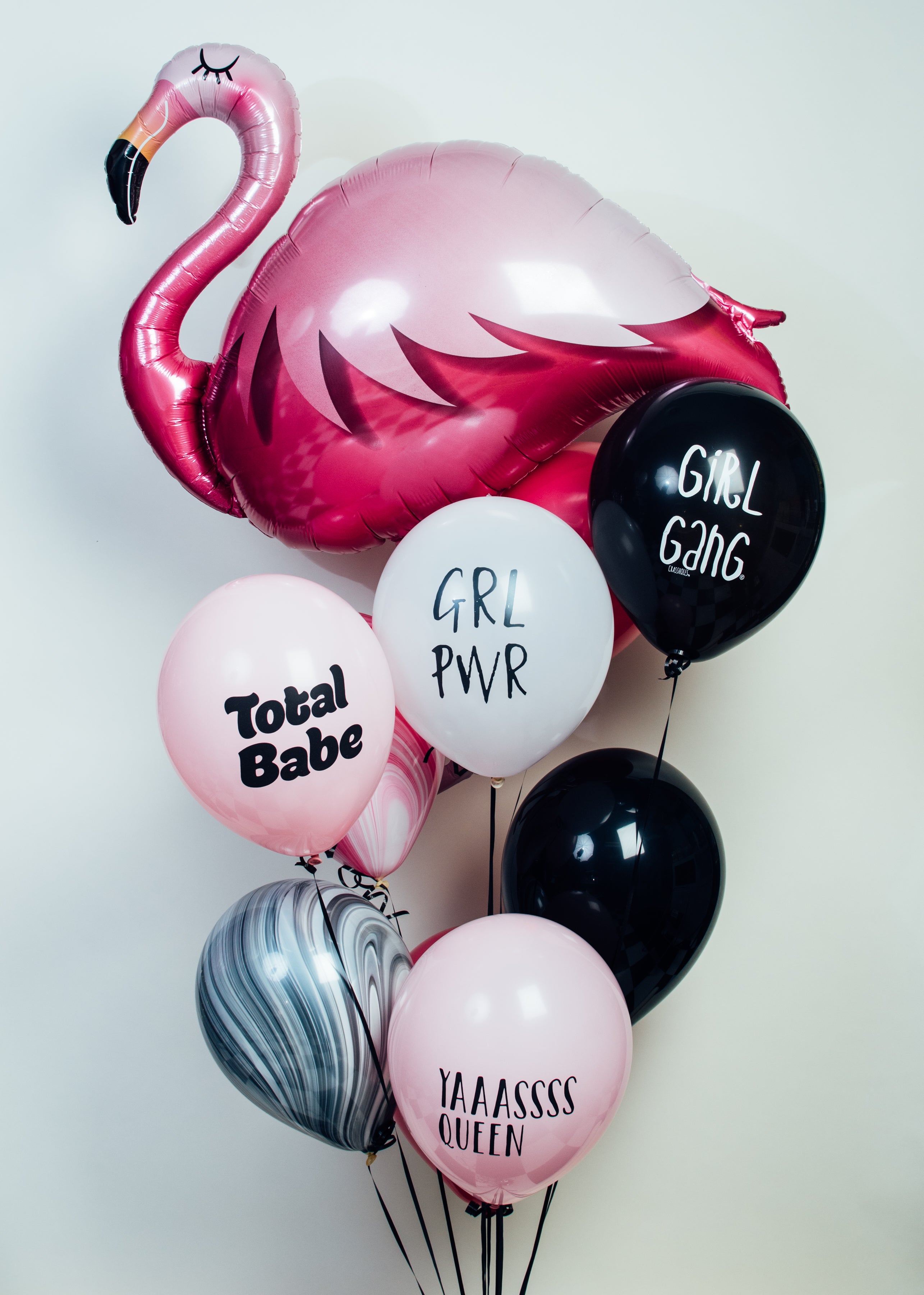 Wild Cat Gift & Party | Unique Gifts, Balloons & Columbus Party Shop ...